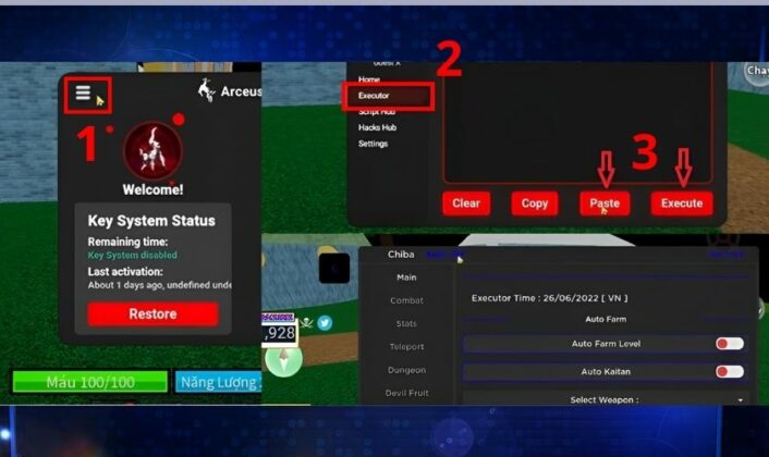 Cách hack Blox Fruit APK Full trái ác quỷ, update 20 trên điện thoại